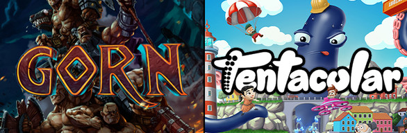 Gorn steam store